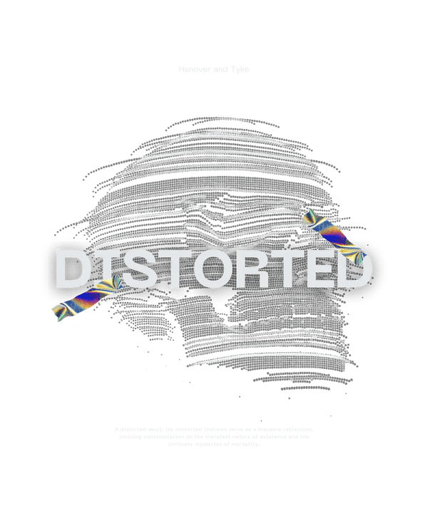 Distorted Skull - DTF Ready to Press